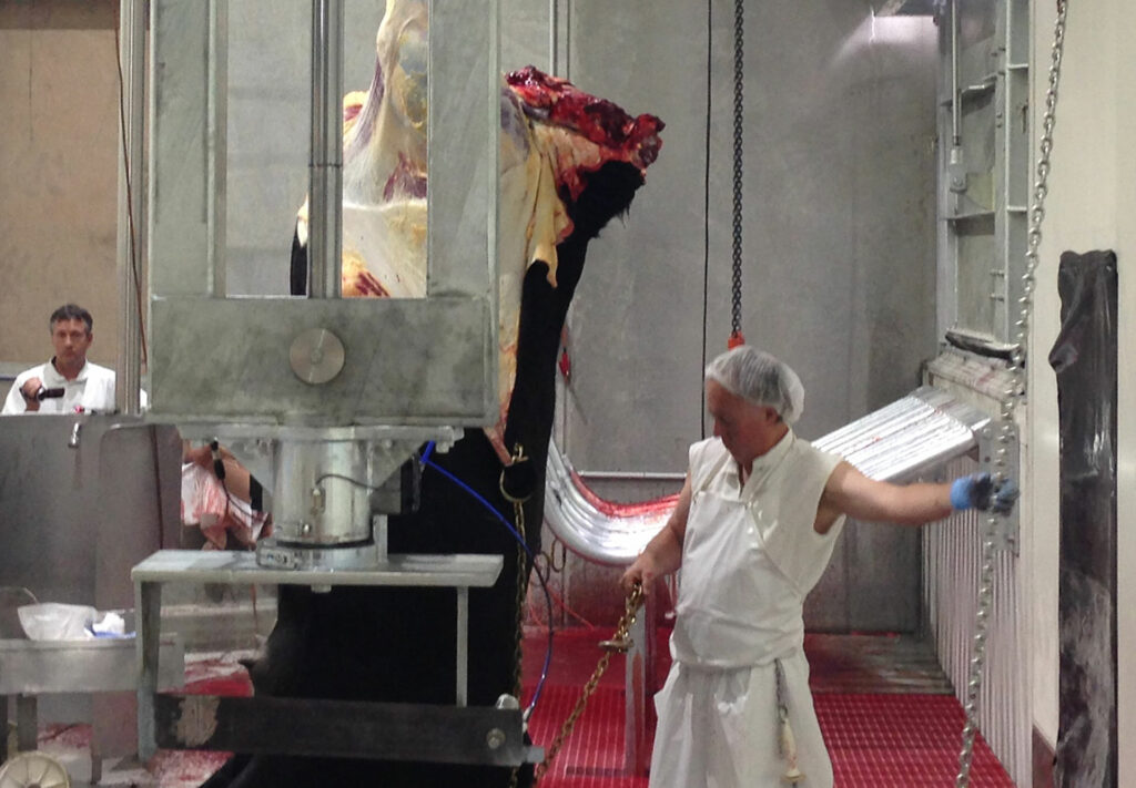 Slaughtering Equipment | Wassco Engineering